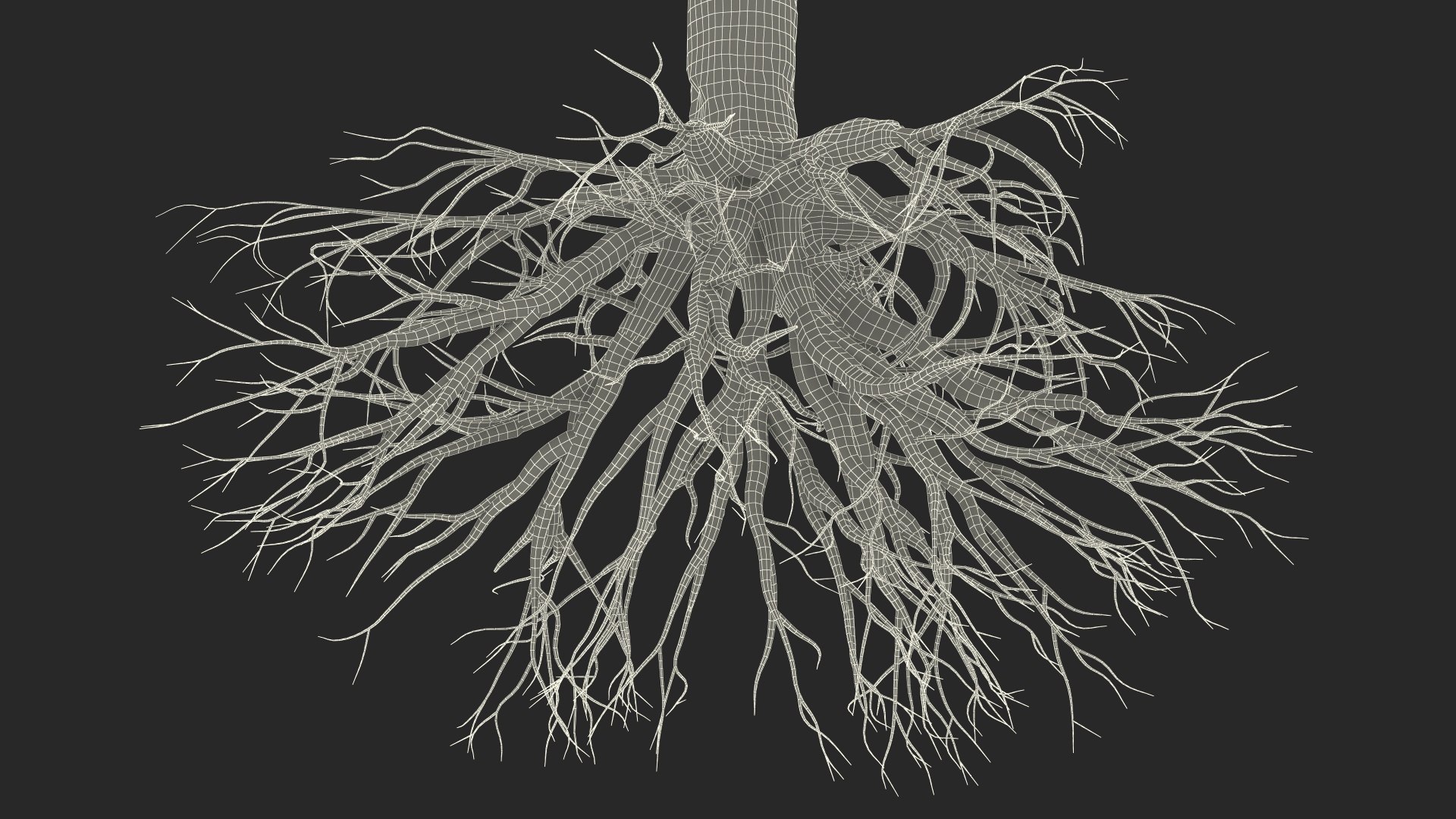 Dragon Tree Roots 3D - TurboSquid 2292865