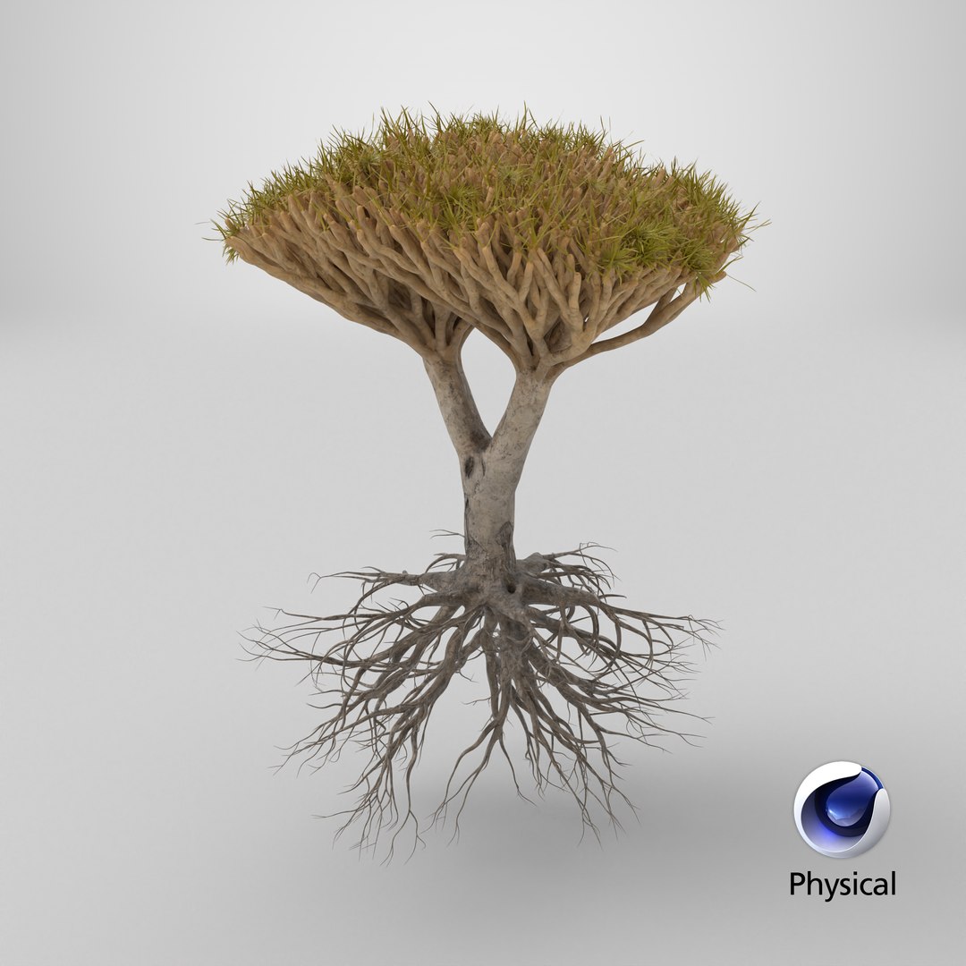 Dragon Tree Roots 3D - TurboSquid 2292865