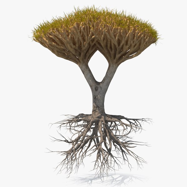 modelo 3d Raíces del árbol del dragón - TurboSquid 2292865