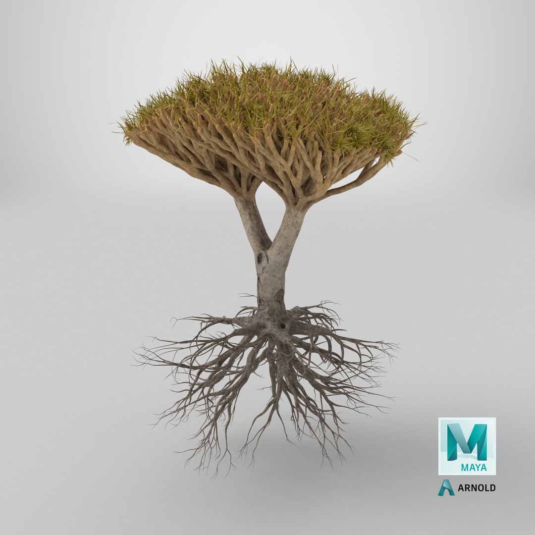 Dragon Tree Roots 3D - TurboSquid 2292865