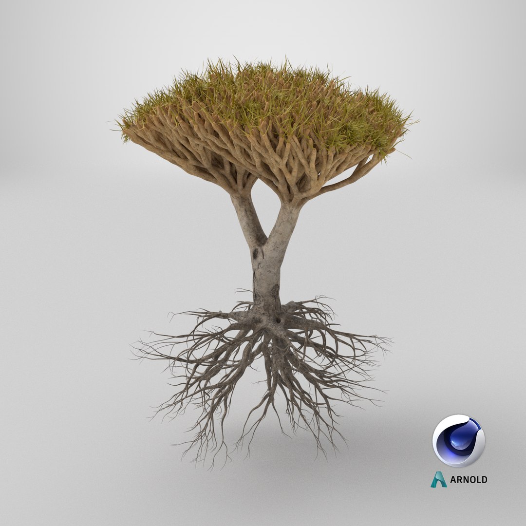 Dragon Tree Roots 3D - TurboSquid 2292865
