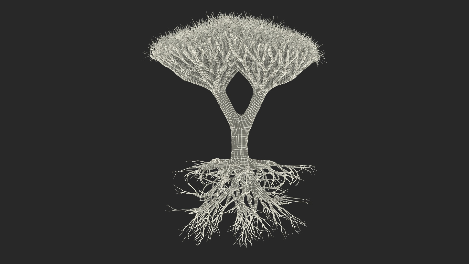 Dragon Tree Roots 3D - TurboSquid 2292865