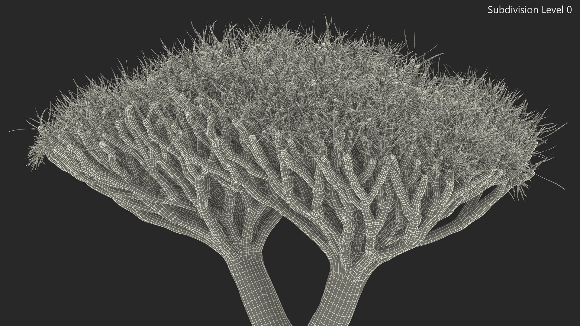 Dragon Tree Roots 3D - TurboSquid 2292865