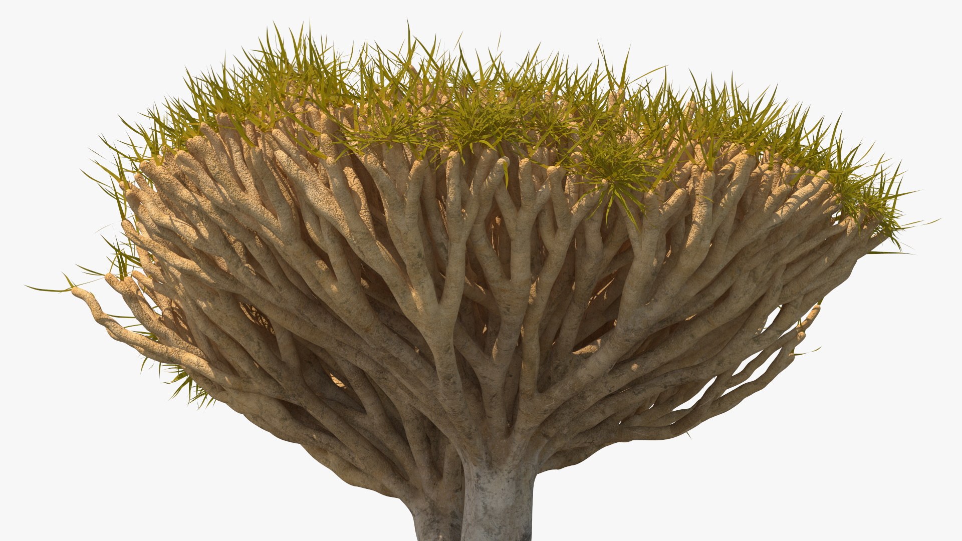 Dragon Tree Roots 3D - TurboSquid 2292865
