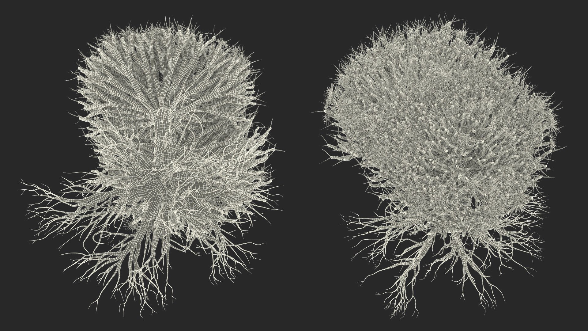 Dragon Tree Roots 3D - TurboSquid 2292865