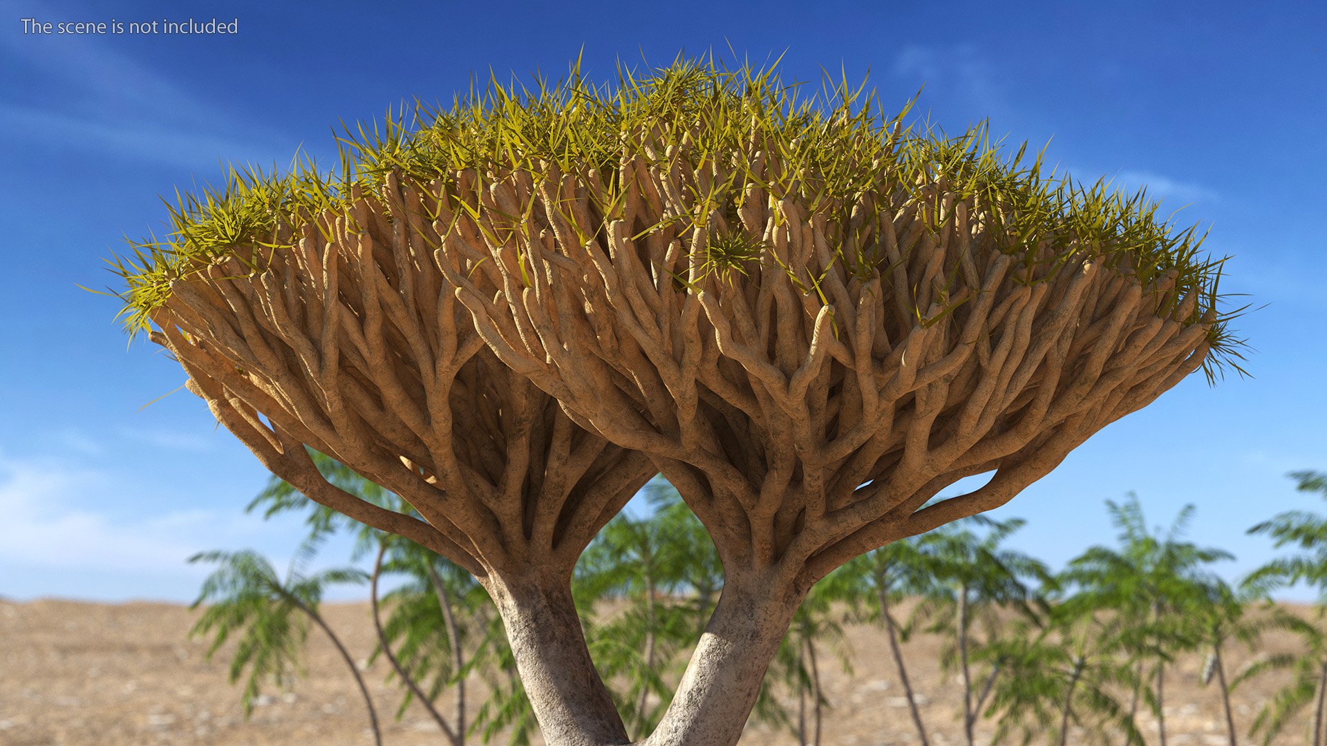 Dragon Tree Roots 3D - TurboSquid 2292865
