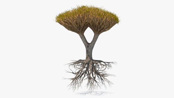 modelo 3d Raíces del árbol del dragón - TurboSquid 2292865