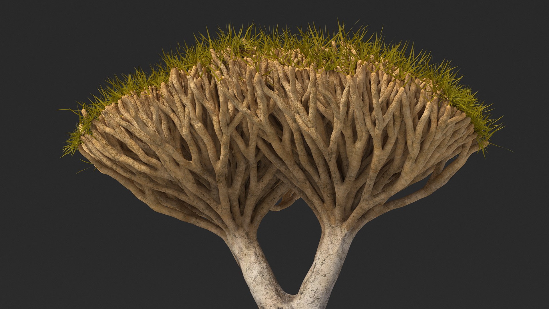 Dragon Tree Roots 3D - TurboSquid 2292865