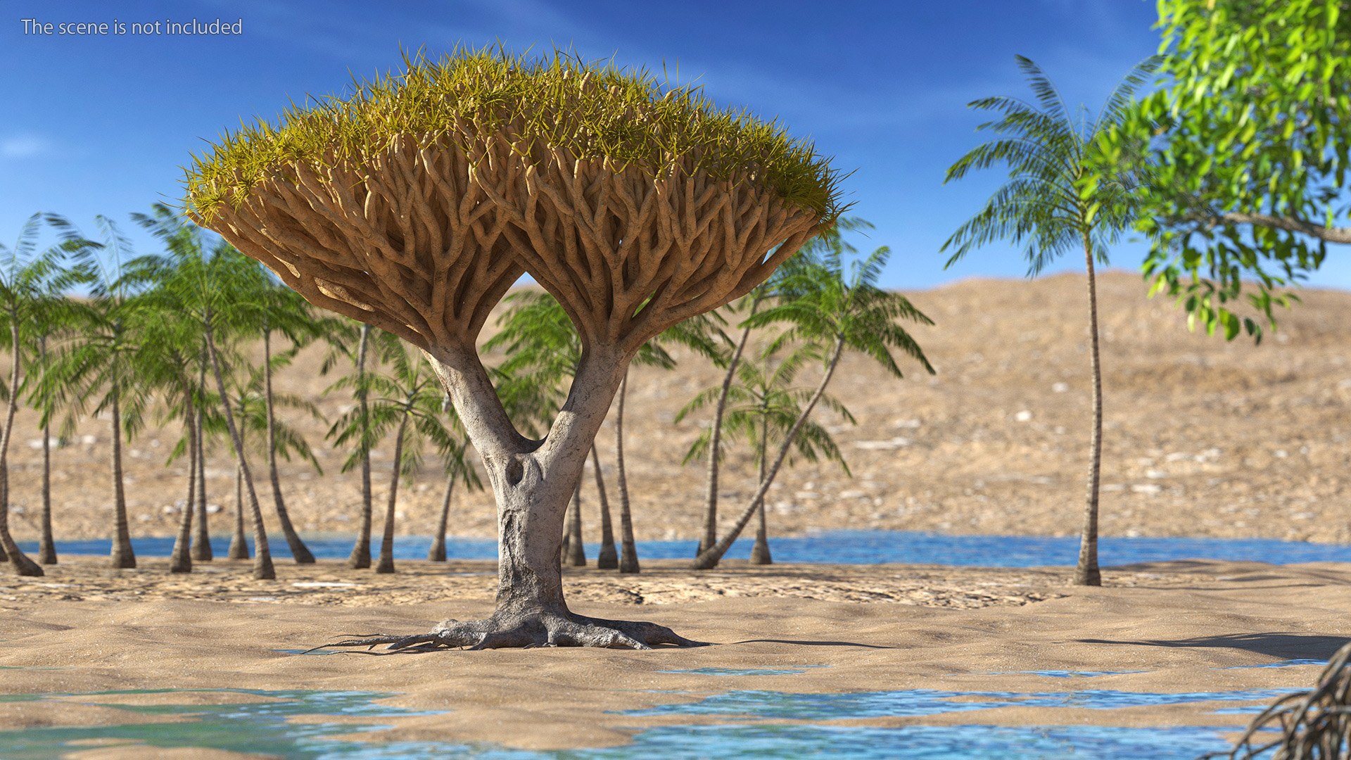 Dragon Tree Roots 3D - TurboSquid 2292865