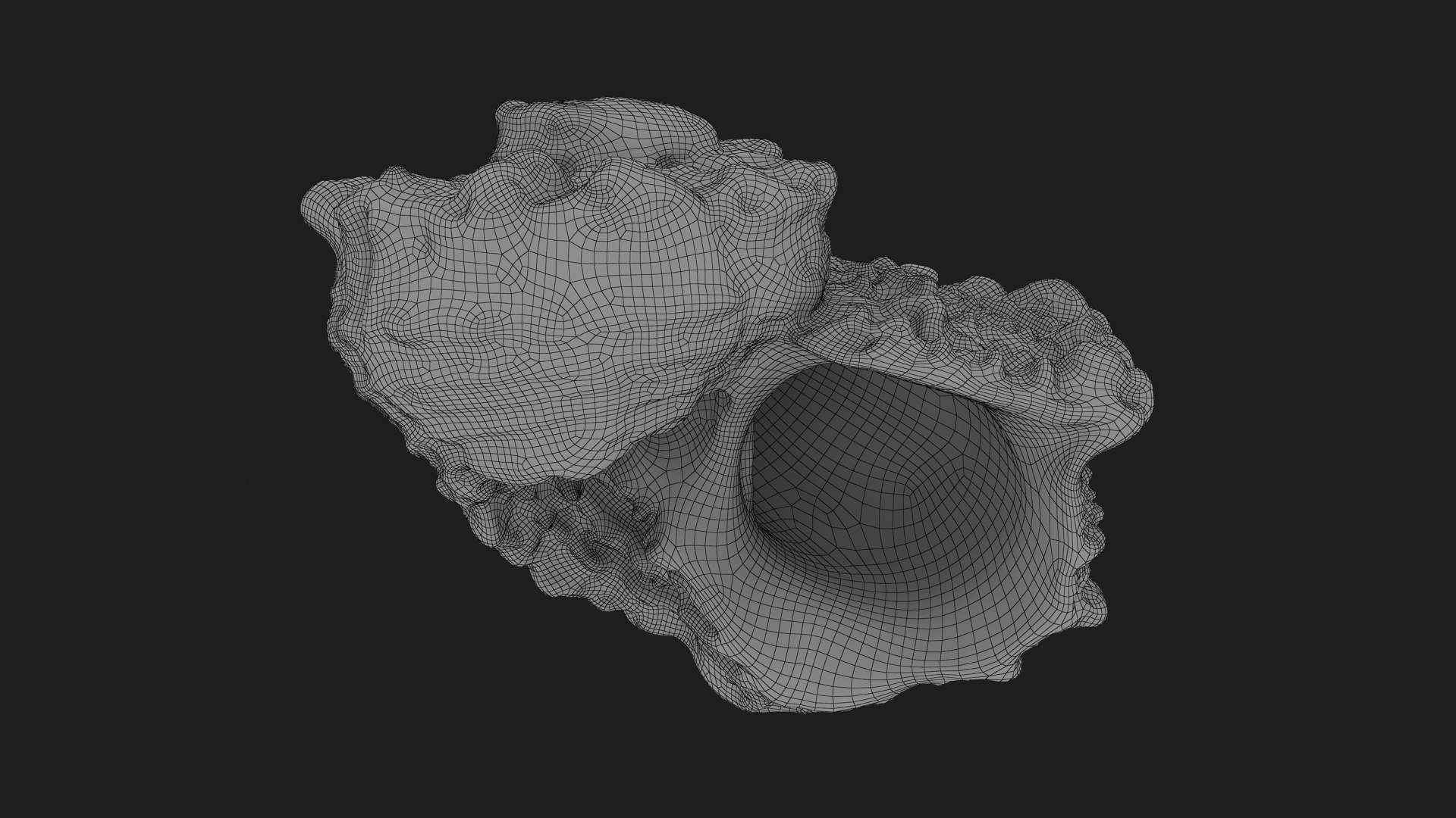 Angaria Delphinus 3D Model - TurboSquid 2208080