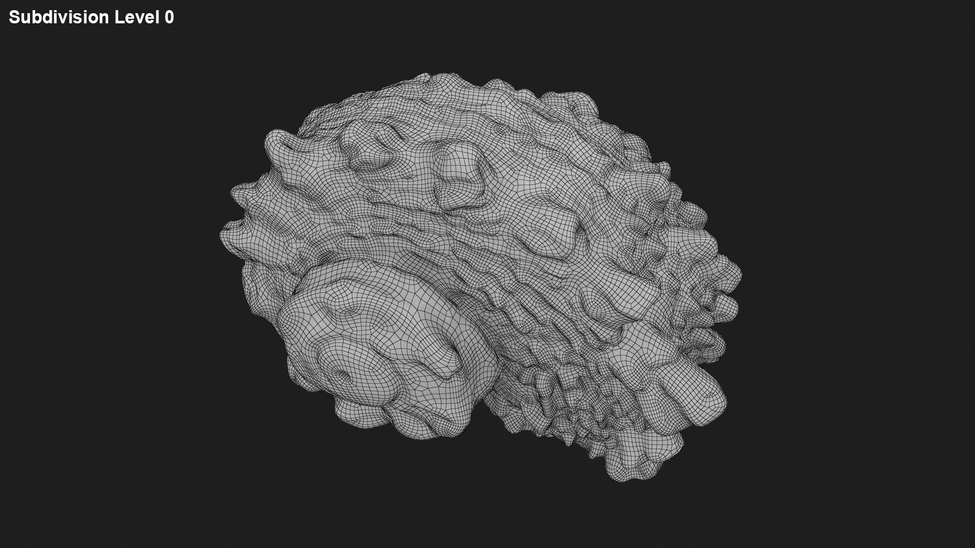 Angaria Delphinus 3D Model - TurboSquid 2208080