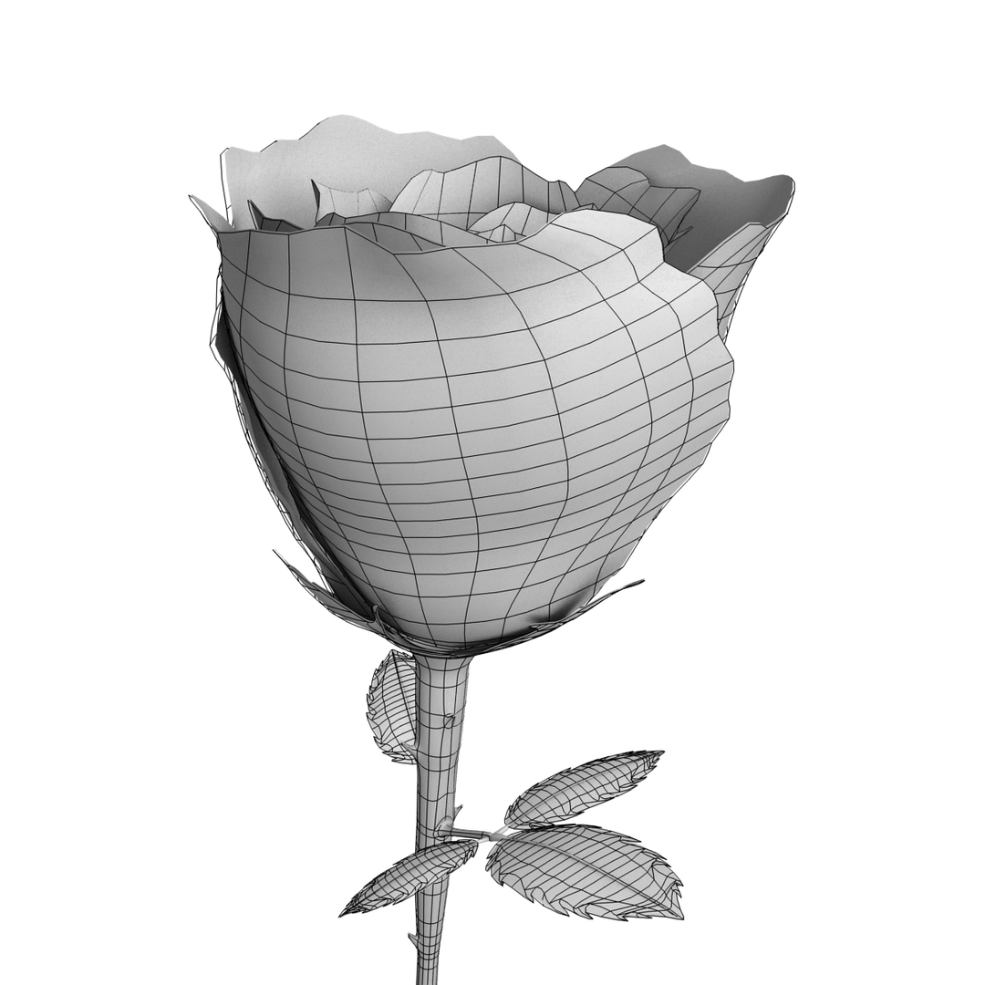 3d model of rose flower