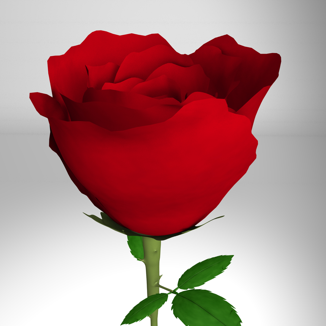 3d model of rose flower