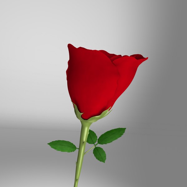 3d model of rose flower