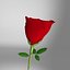 3d Model Of Rose Flower