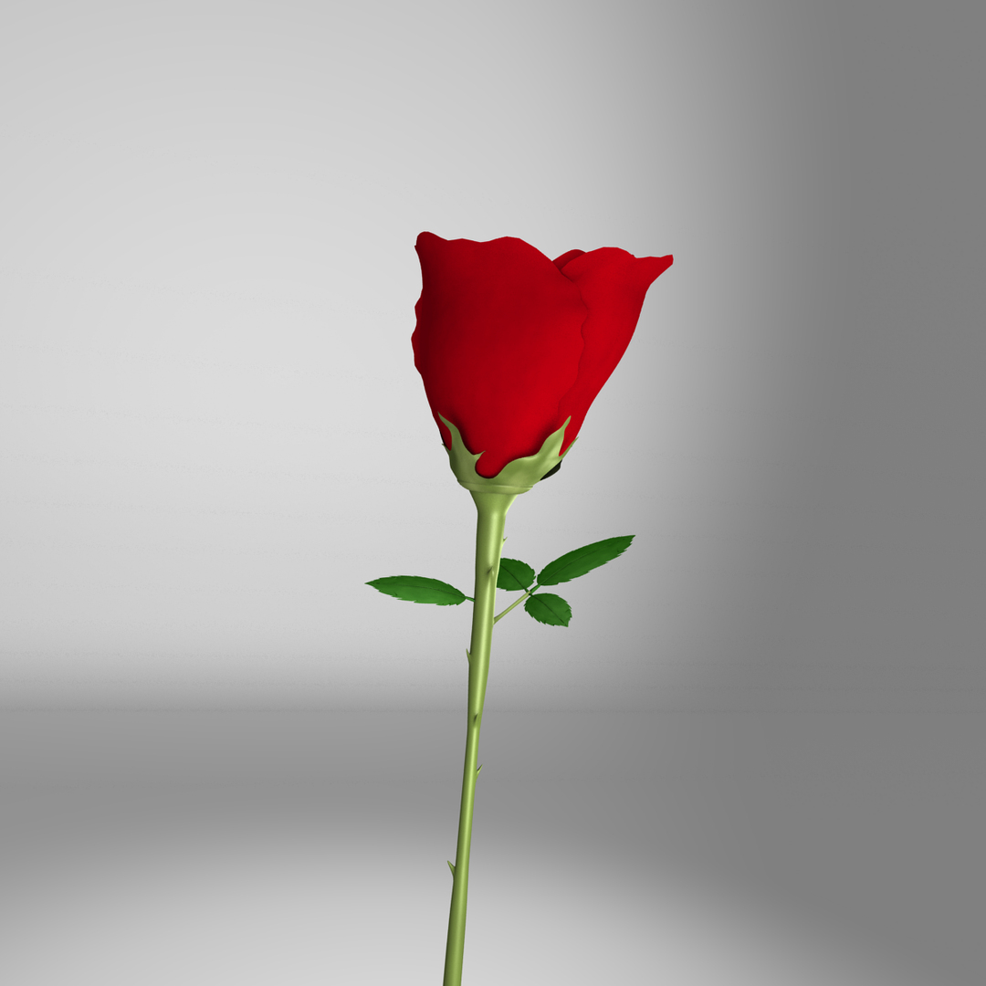 3d model of rose flower