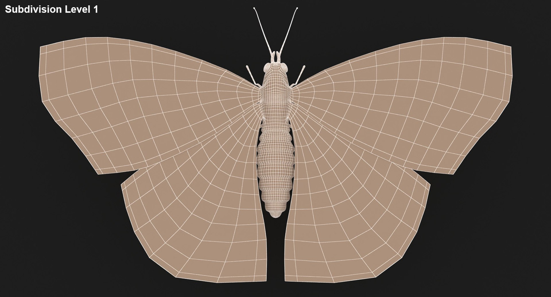 3D model butterfly set - TurboSquid 1274722