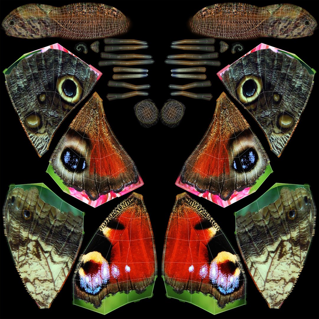 3D model butterfly set - TurboSquid 1274722