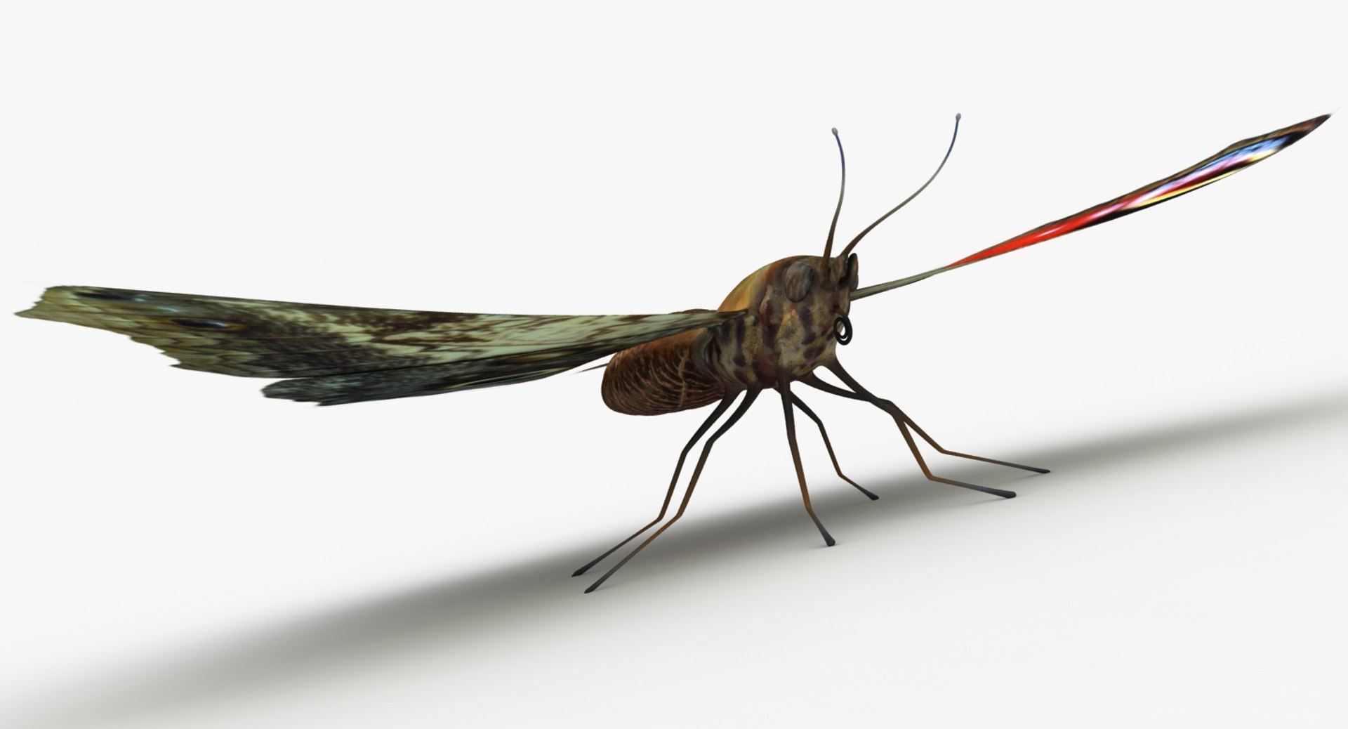 3D model butterfly set - TurboSquid 1274722