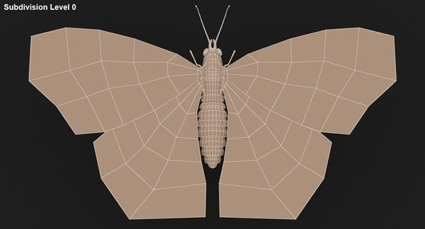3D model butterfly set - TurboSquid 1274722