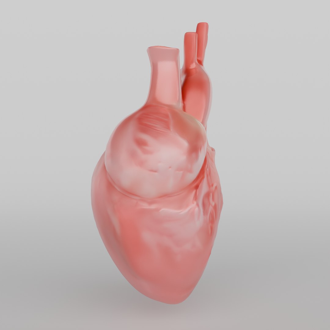 Heart 3D - TurboSquid 2295461