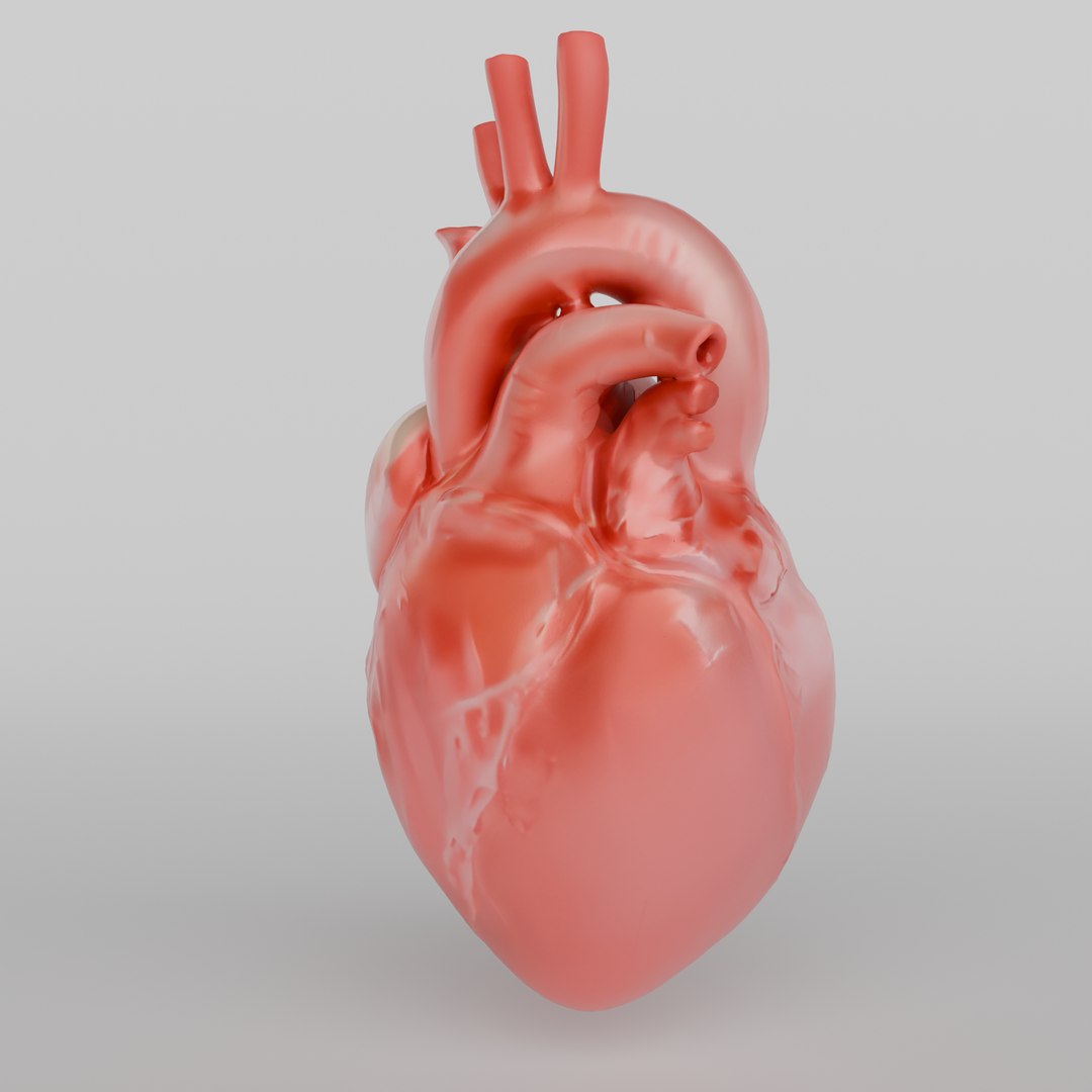 Heart 3D - TurboSquid 2295461