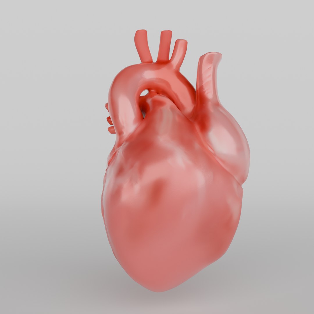 Heart 3D - TurboSquid 2295461