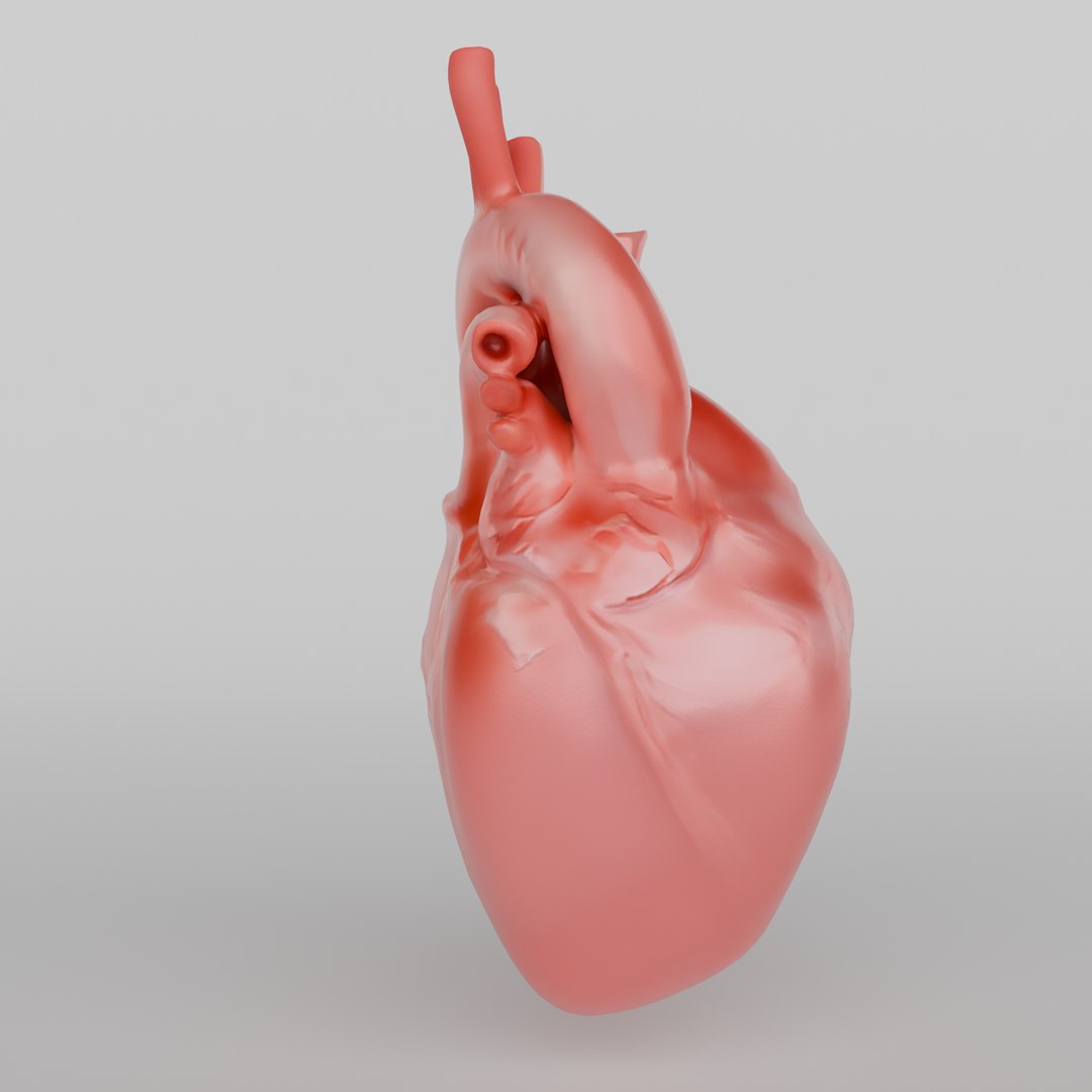 Heart 3D - TurboSquid 2295461
