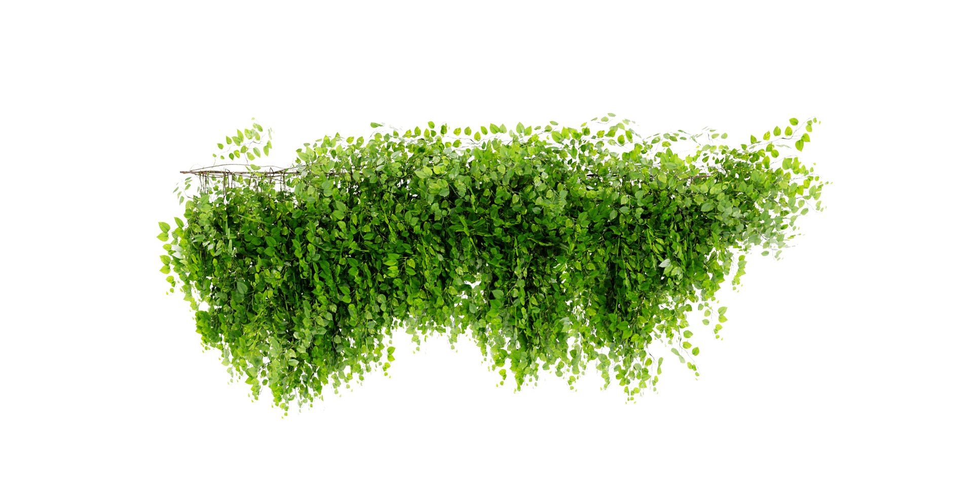 Collection plant vol 451 - blender model model - TurboSquid 2099120