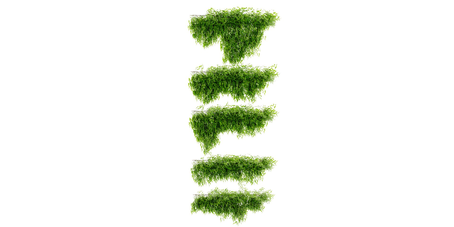 Collection plant vol 451 - blender model model - TurboSquid 2099120
