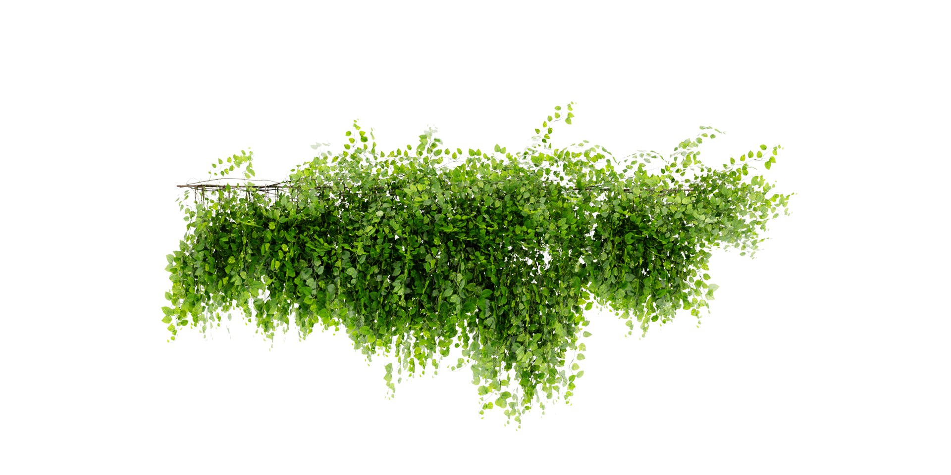 Collection plant vol 451 - blender model model - TurboSquid 2099120