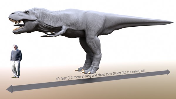 t rex muscle ma