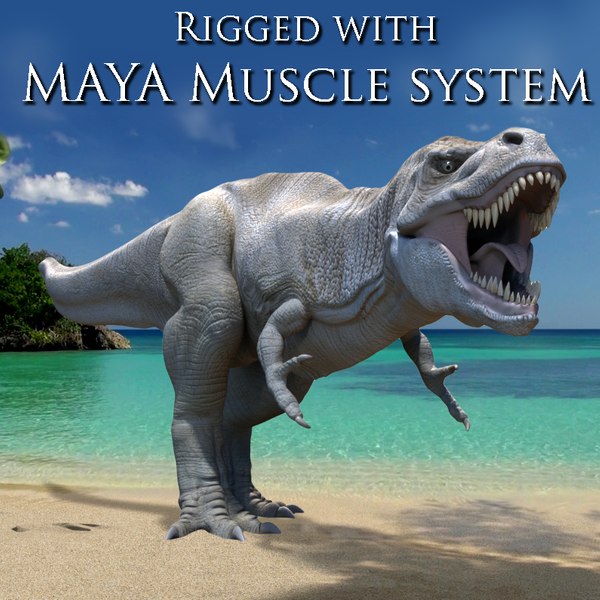 t rex muscle ma