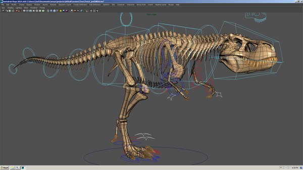 t rex muscle ma