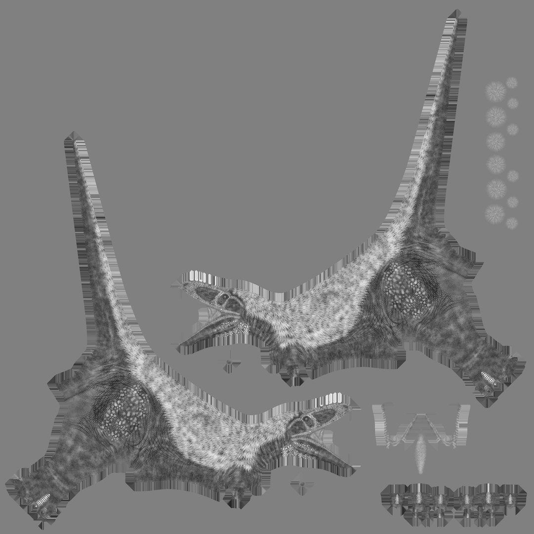 3D Alioramus Dinosaur - TurboSquid 2340849