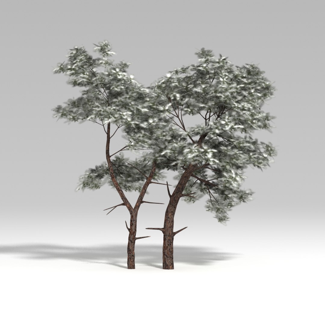 3d Model Snowtree Tree Snow