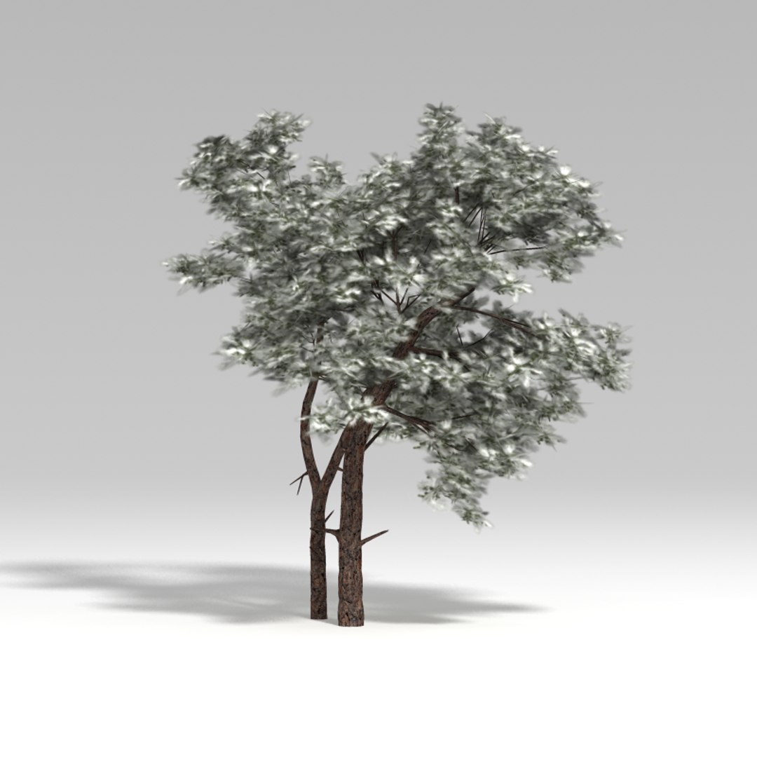 3d Model Snowtree Tree Snow