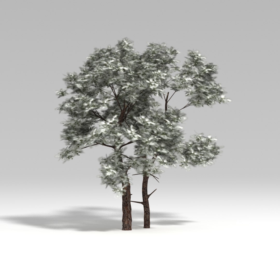3d Model Snowtree Tree Snow