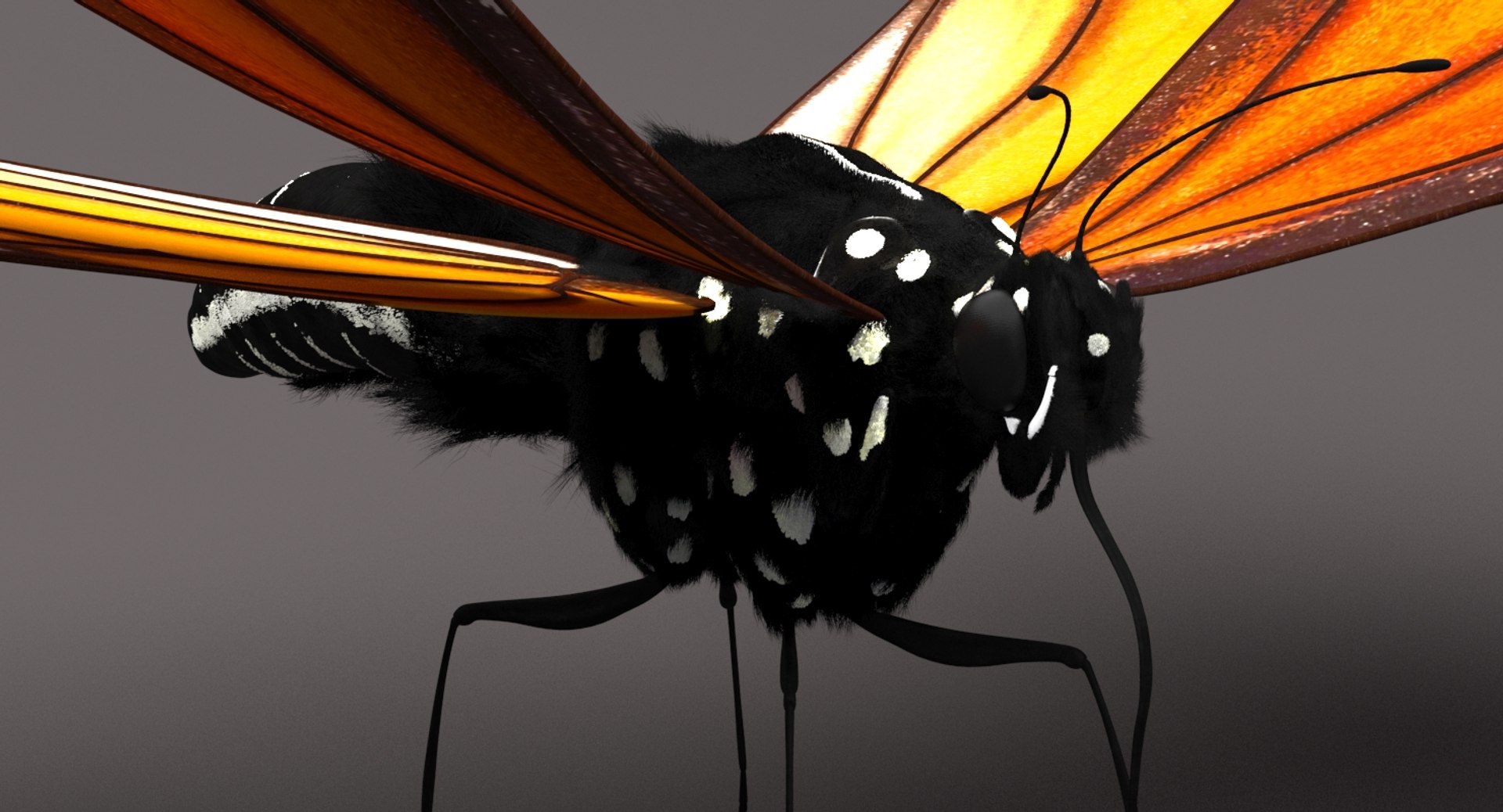 Butterfly Monarch Rigged 3D Model - TurboSquid 1192852