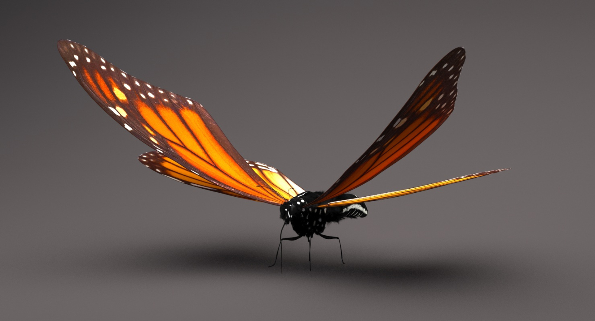 Butterfly Monarch Rigged 3D Model - TurboSquid 1192852