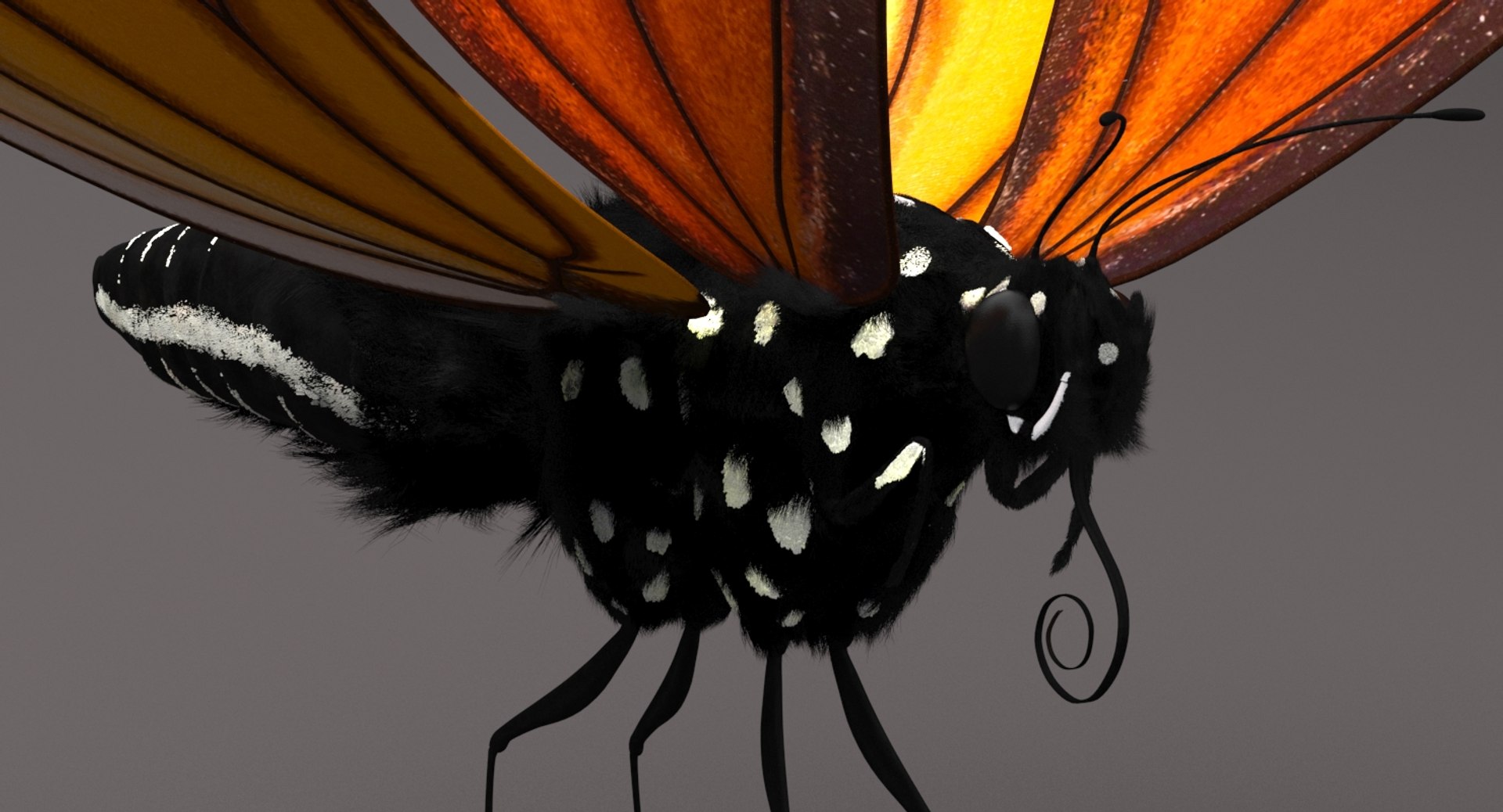 Butterfly Monarch Rigged 3D Model - TurboSquid 1192852