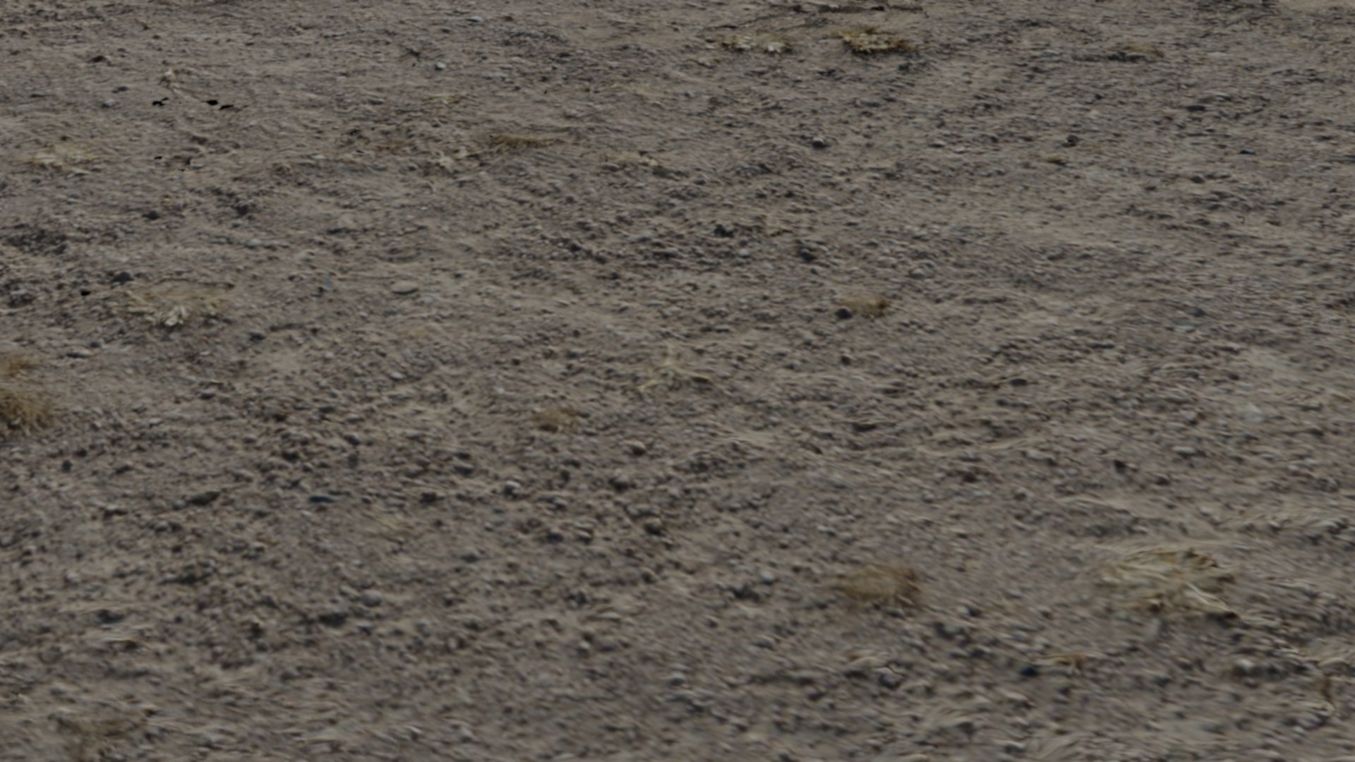 3D Model Soil Ground - TurboSquid 1843008