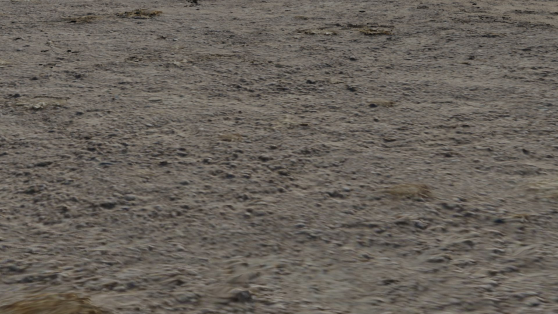 3D Model Soil Ground - TurboSquid 1843008