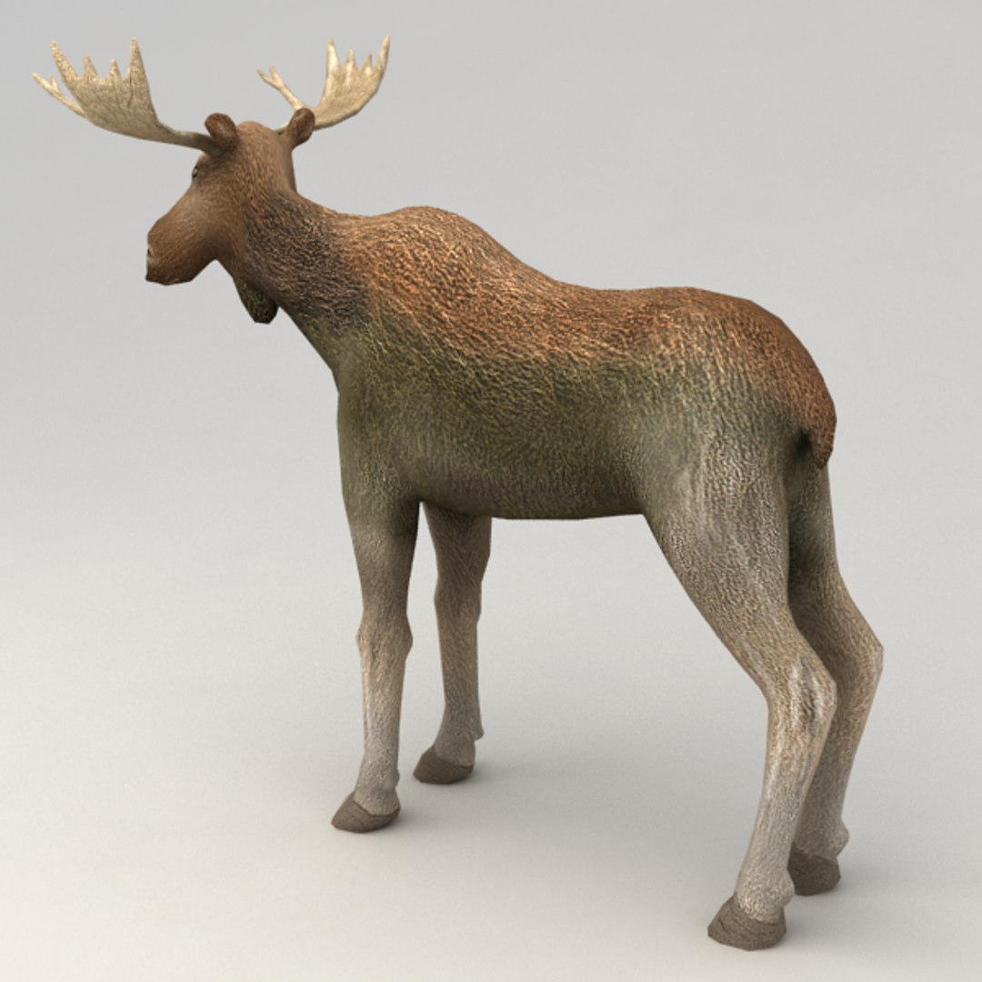 Rigged Moose 3d Model