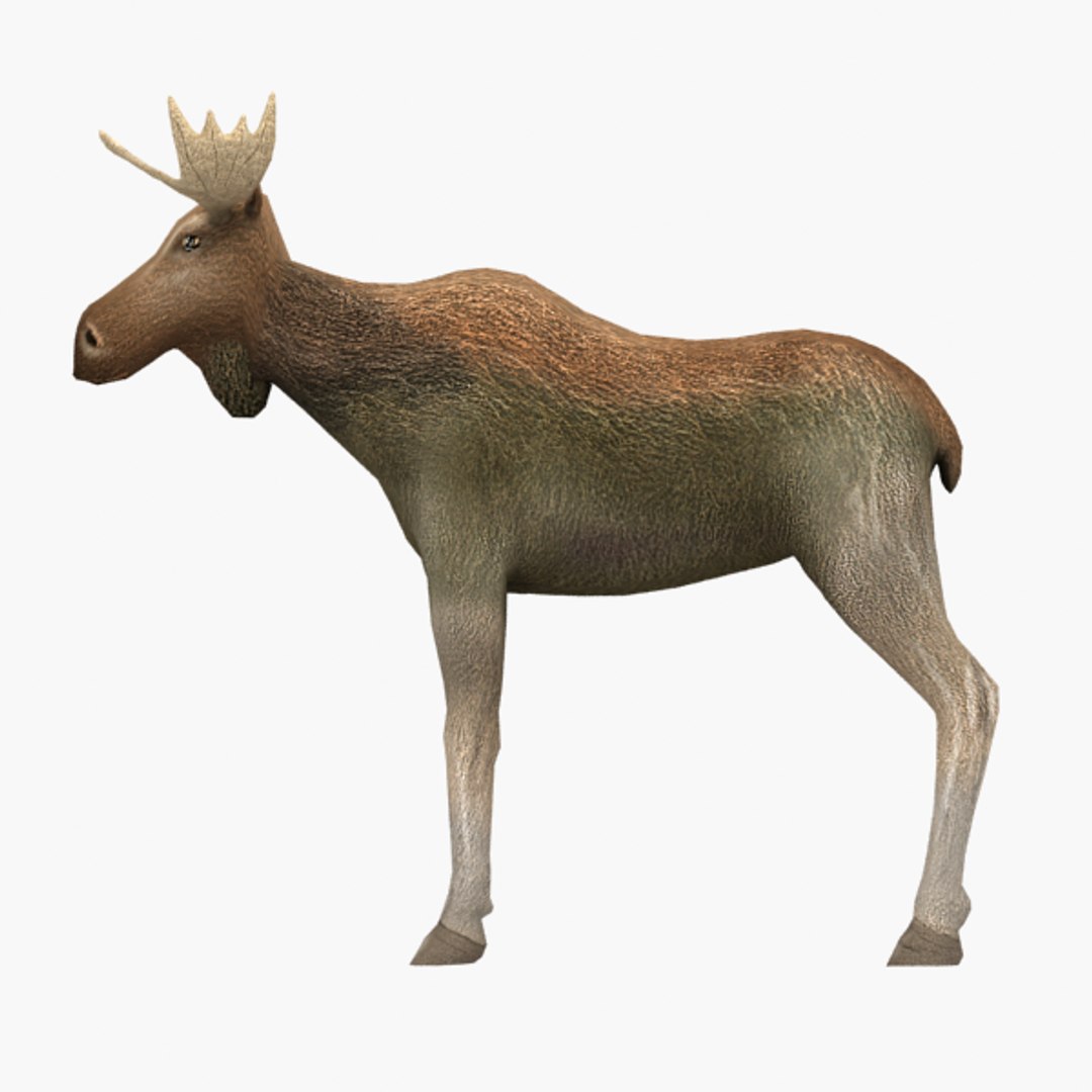 Rigged Moose 3d Model