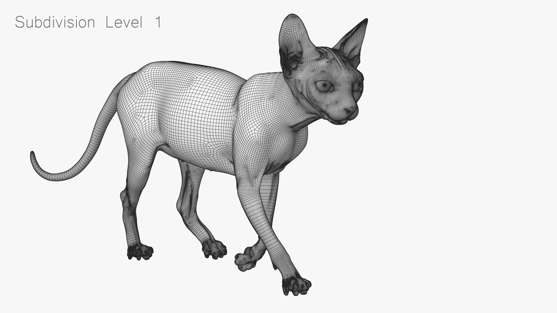Sphynx cat walking pose 3D model - TurboSquid 1665001