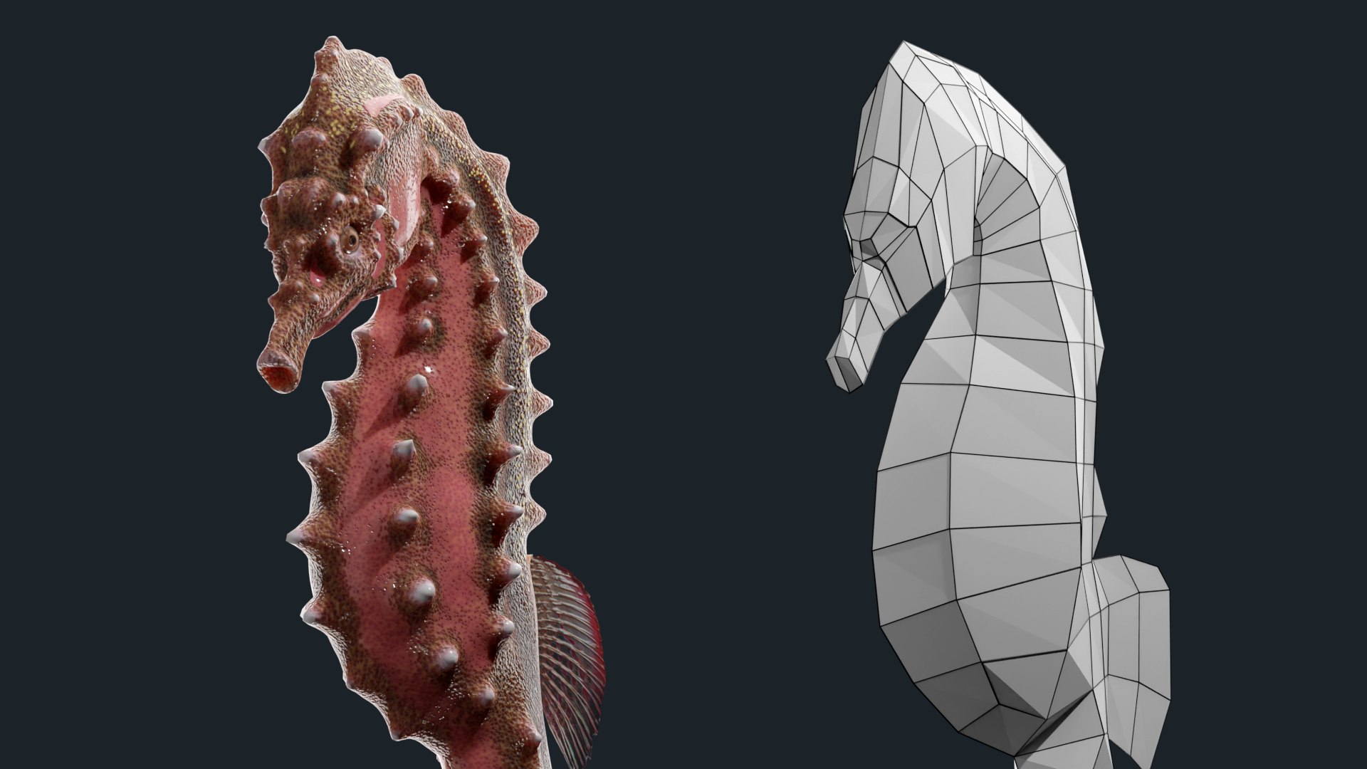 3D Model SEAHORSE - TurboSquid 2041743