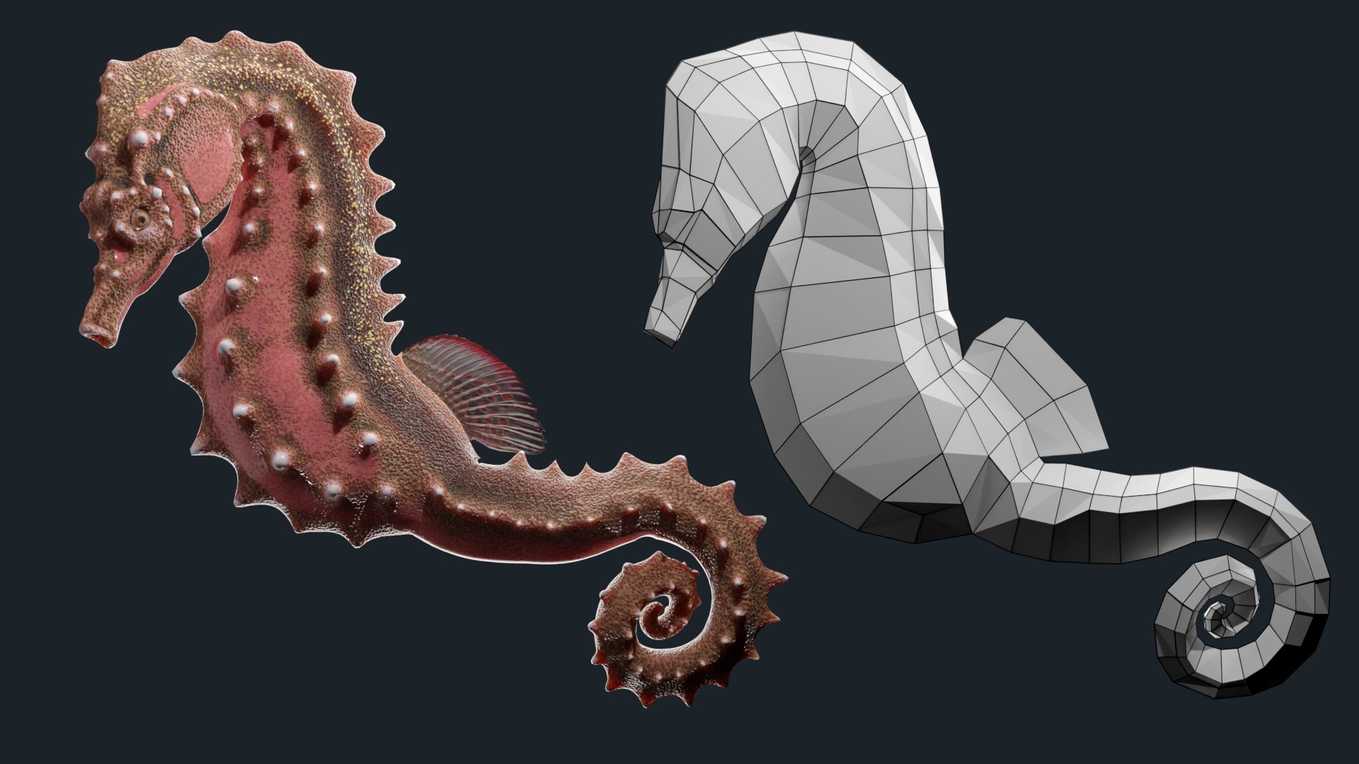 3D Model SEAHORSE - TurboSquid 2041743