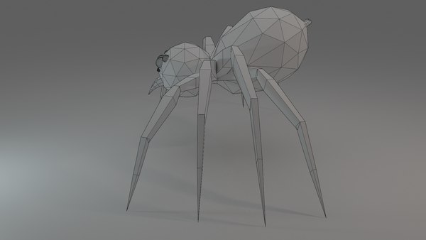 3D Low Poly Spider - TurboSquid 1727159