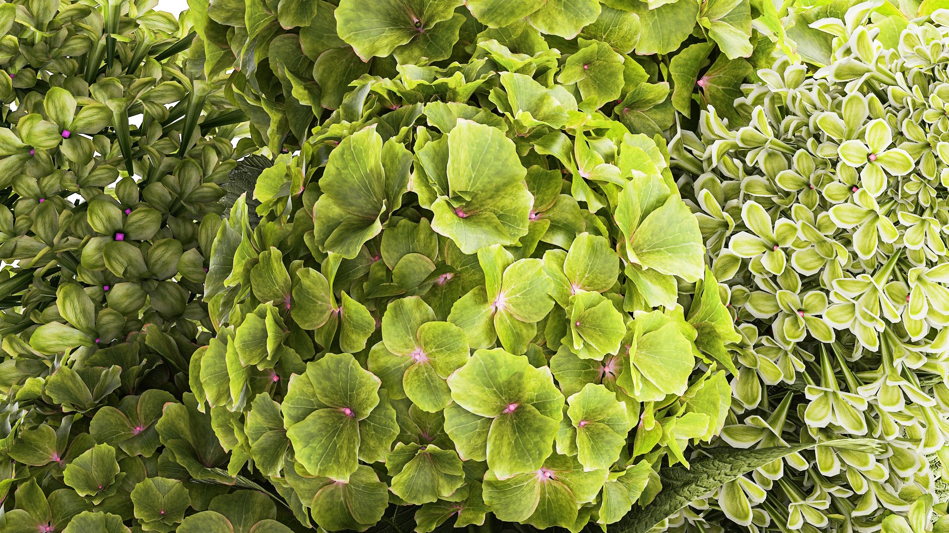 3D Bouquet of green flowers in a vase hydrangea lilac 321 - TurboSquid ...